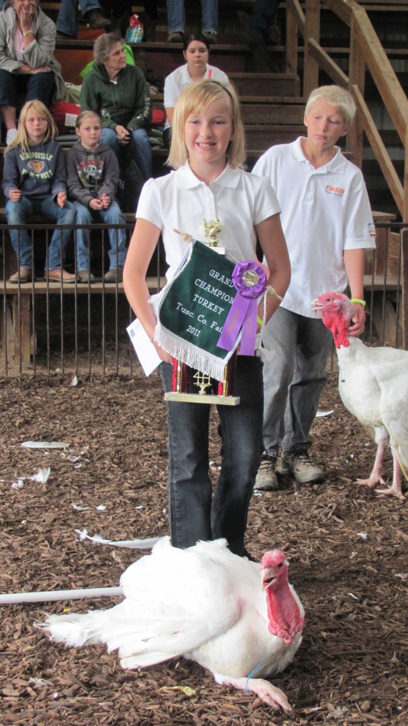 Talking turkey at the fair: Gobblers strut their… | The Bargain Hunter Talking turkey at the fair: Gobblers strut their… | The Bargain Hunter